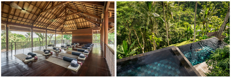 COMO Shambhala Estate Introduces Its New Integrated Wellness Programme ...
