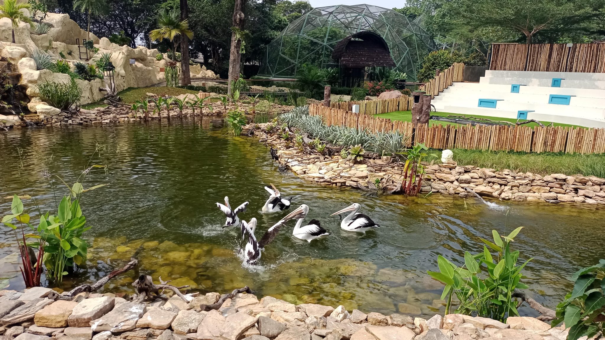 New Wildlife Discoveries at Taman Mini Indonesia Indah - NOW! Jakarta