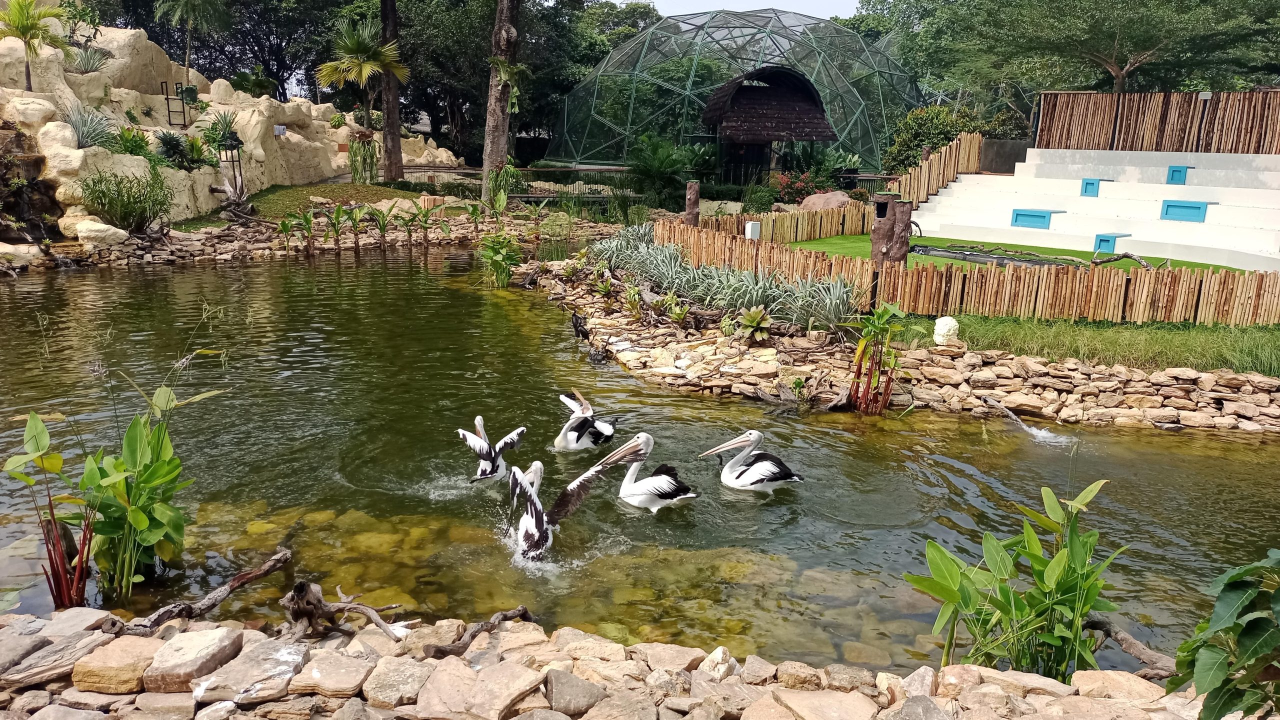 New Wildlife Discoveries at Taman Mini Indonesia Indah - NOW! Jakarta